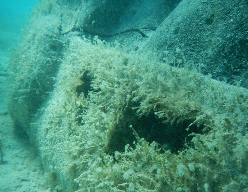 Contaminación de mares: Cuando el mar se contamina